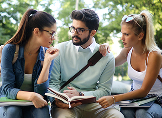 UNIVERSITY / SELECTION